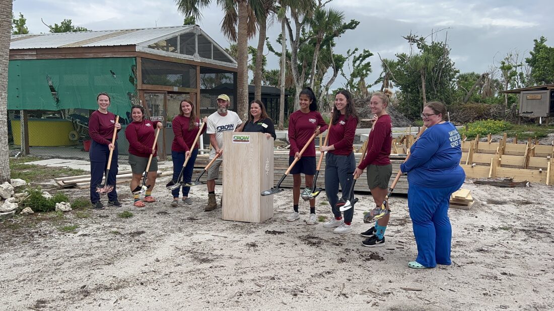 CROW breaks ground for rehabilitation enclosures - SANIBEL-CAPTIVA ...